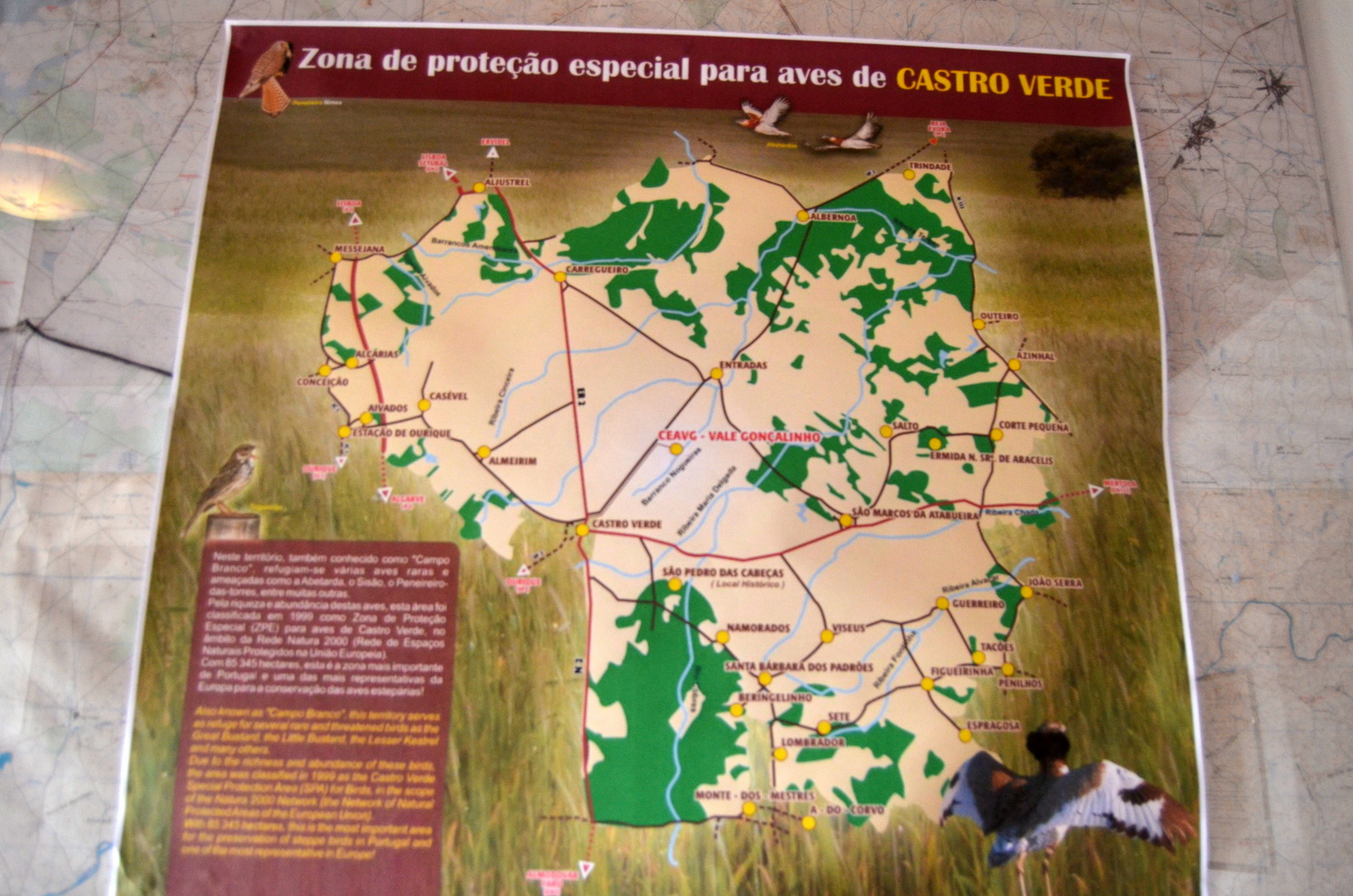 Visita a Castro Verde e arredores - Ambiente